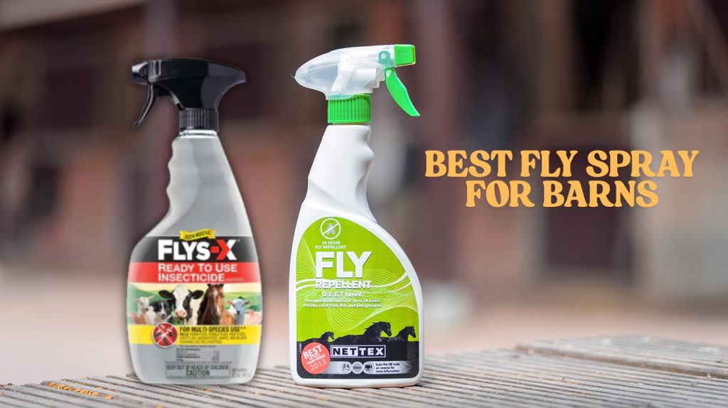 Best Fly Spray for Barns: Top Picks to Keep Pests Away